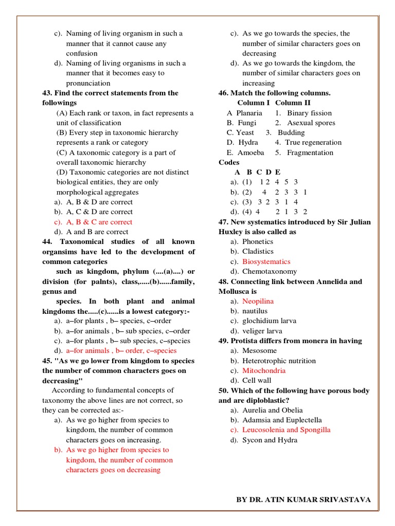 Animal Classification System 4 | PDF | Taxonomy (Biology) | Scientific ...