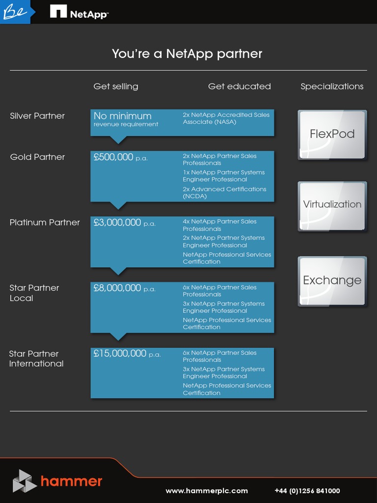 NetApp Partner Levels | PDF | Engineering | Business
