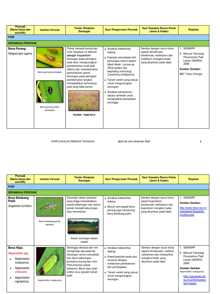 Perosak Tanaman Padi | PDF