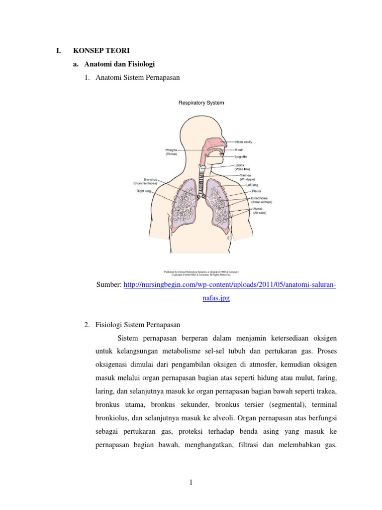 LP Asma Bronkial | PDF