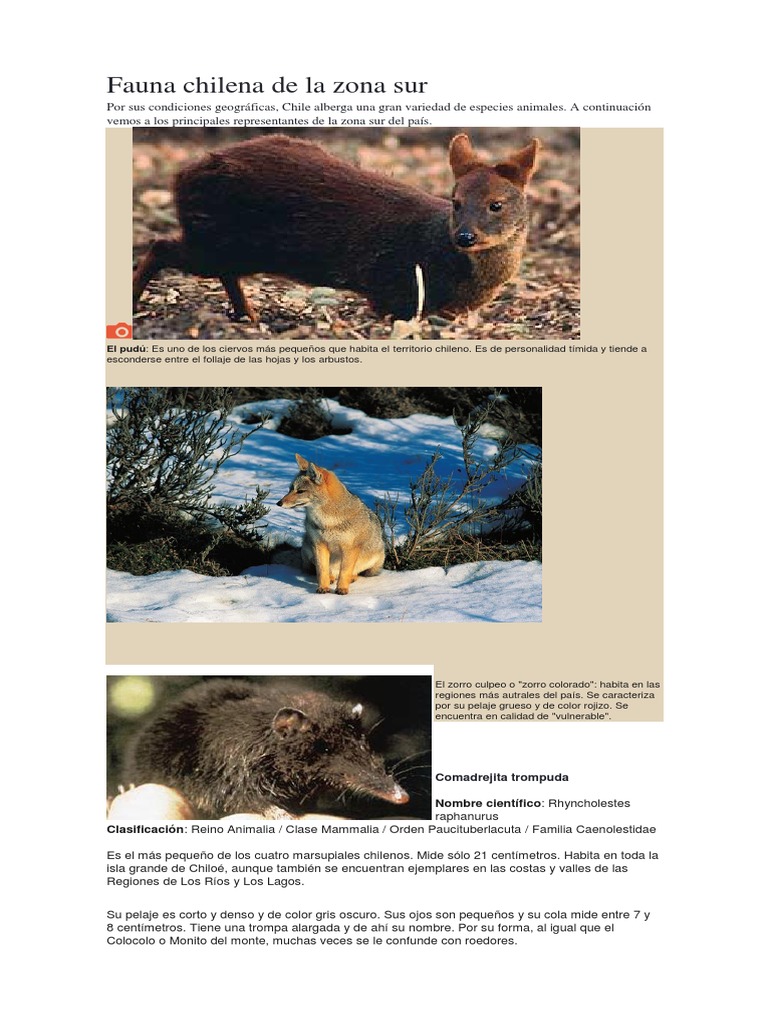 Fauna Chilena de La Zona Sur | PDF | Andes | Algas