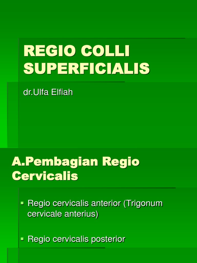 Regio Colli Superficialis | PDF