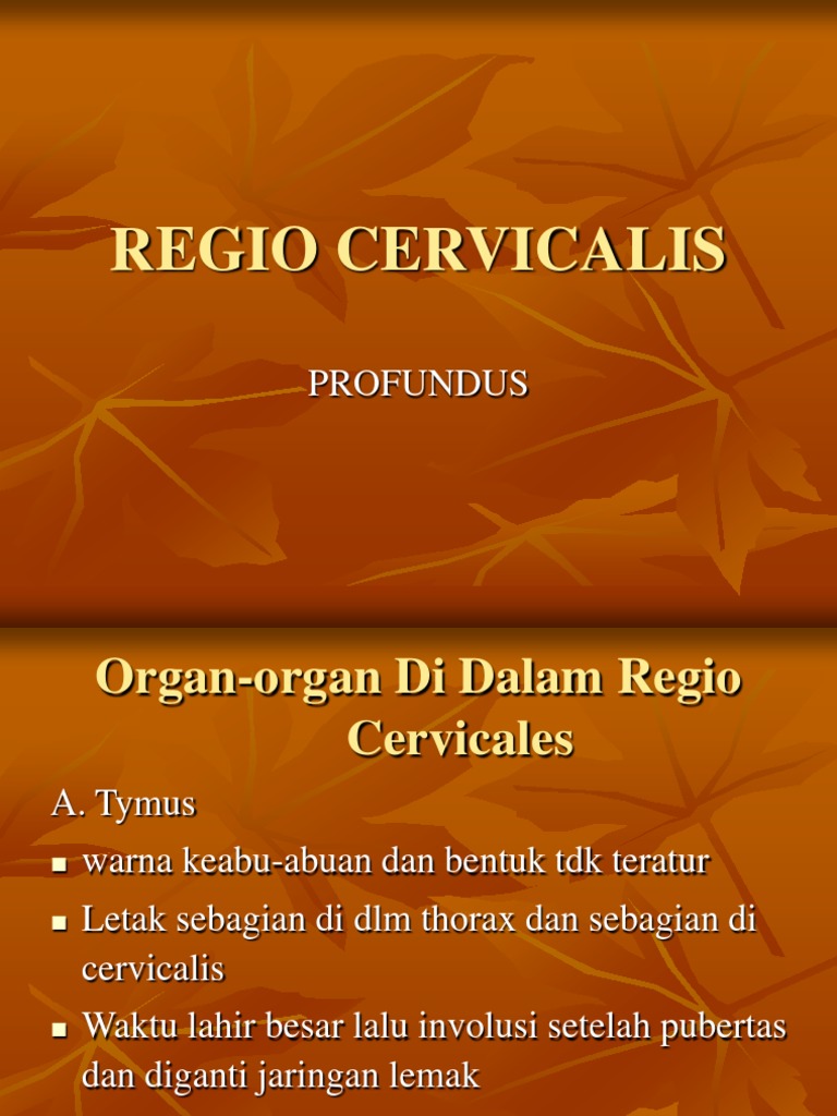 Regio Cervicalis | PDF