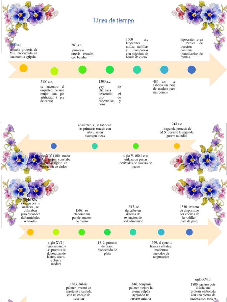 Línea de Tiempo | Naturaleza