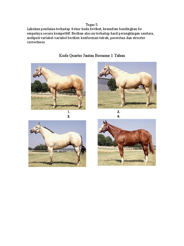 Penilaian Ternak Kuda - Heru | PDF