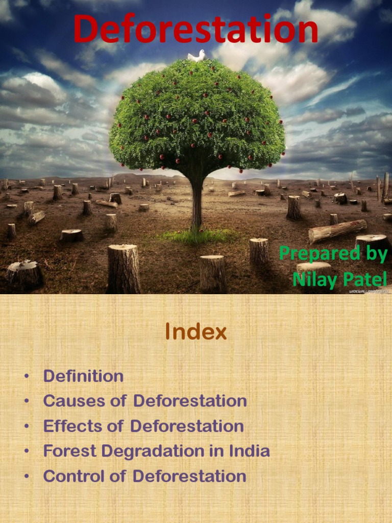 Deforestation | PDF | Deforestation | Forests