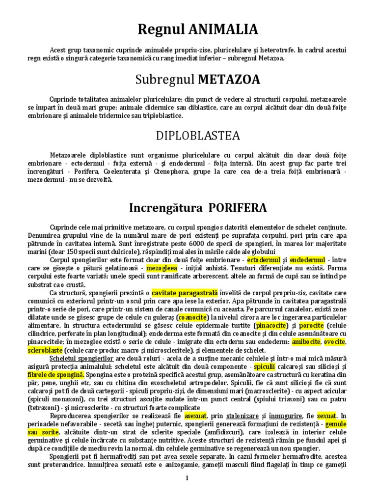 Spongieri | PDF