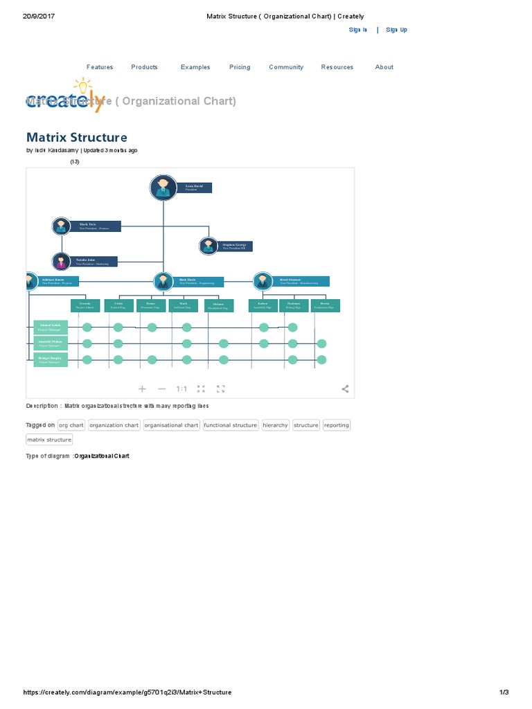 Matrix Structure (Organizational Chart) - Creately | PDF | Areas Of ...