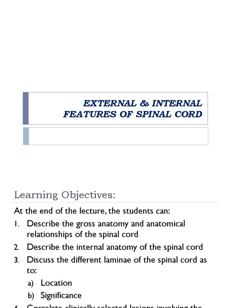 External & Internal Features of Spinal Cord | PDF | Spinal Cord ...