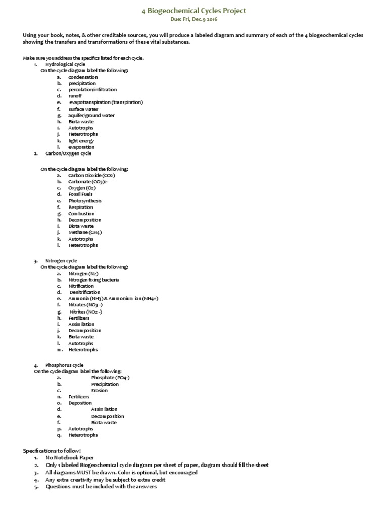 Biogeochemical Cycles Project | PDF | Nitrogen | Water