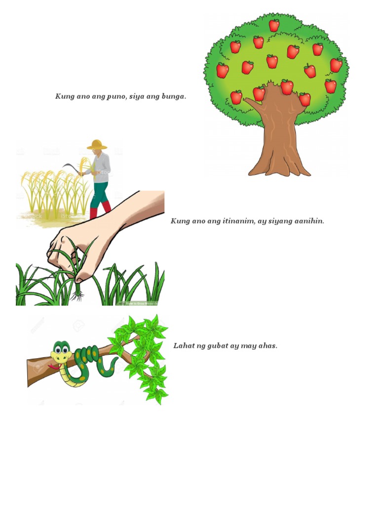 Kung Ano Ang Puno | PDF