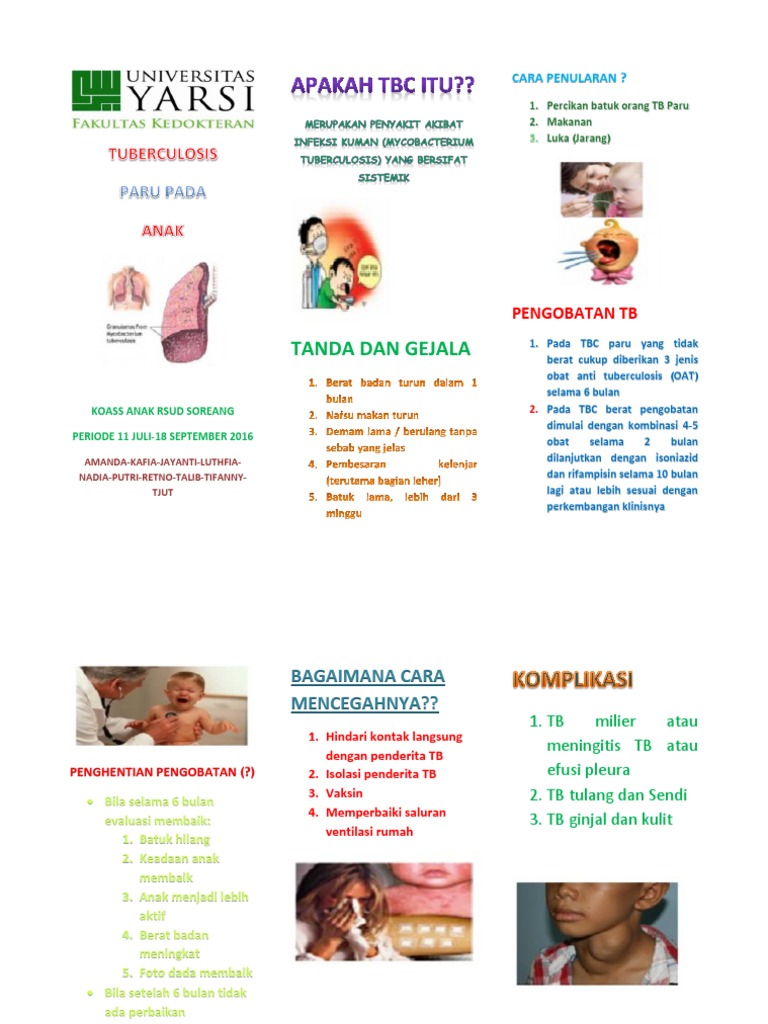 Tuberculosis Leaflet | PDF