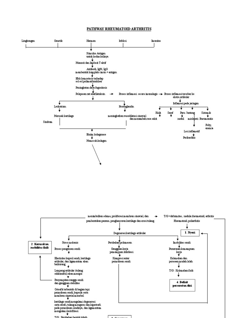 PATHWAY Reumatoid Arthritis | PDF