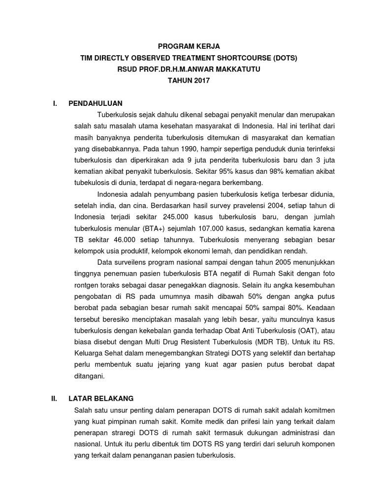 Program Kerja TB Dots | PDF