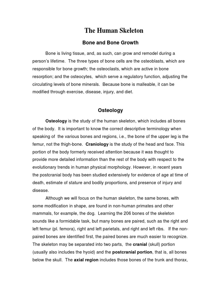 Human Skeleton Notes | PDF | Anatomical Terms Of Location | Skull