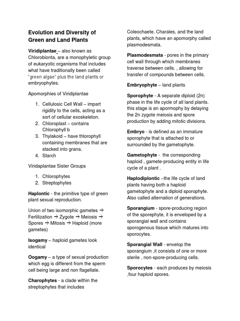 Evolution and Diversity of Green and Land Plants | PDF | Moss ...