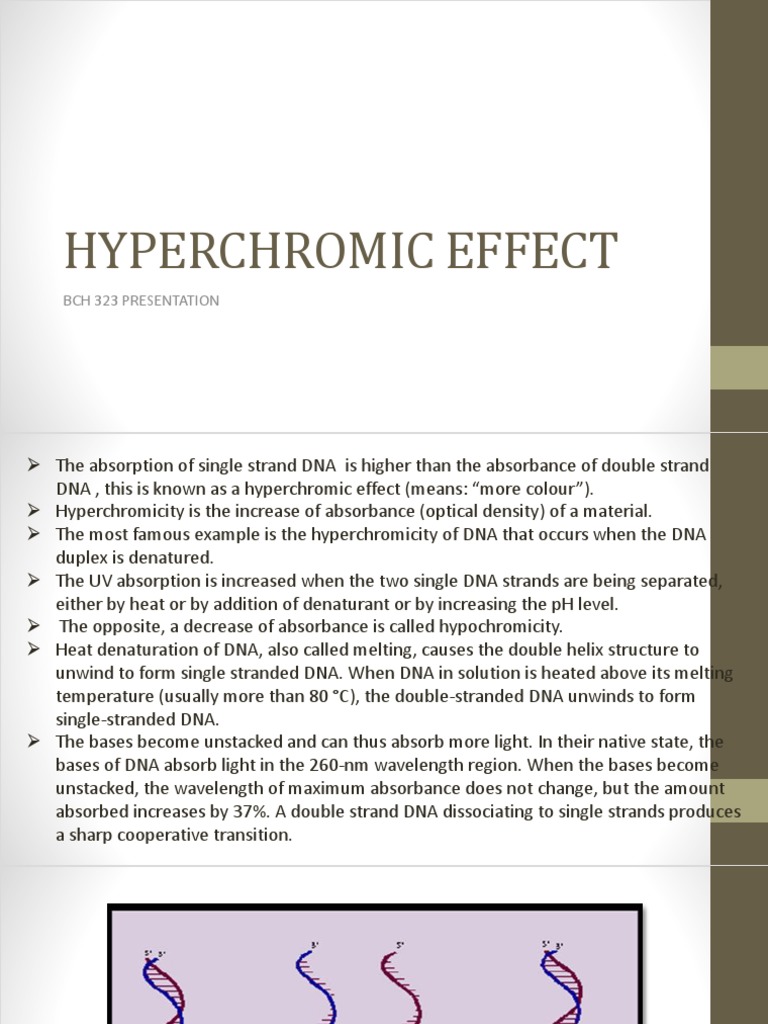 Hyperchromic Effect | PDF | Nucleic Acid Thermodynamics | Genetics