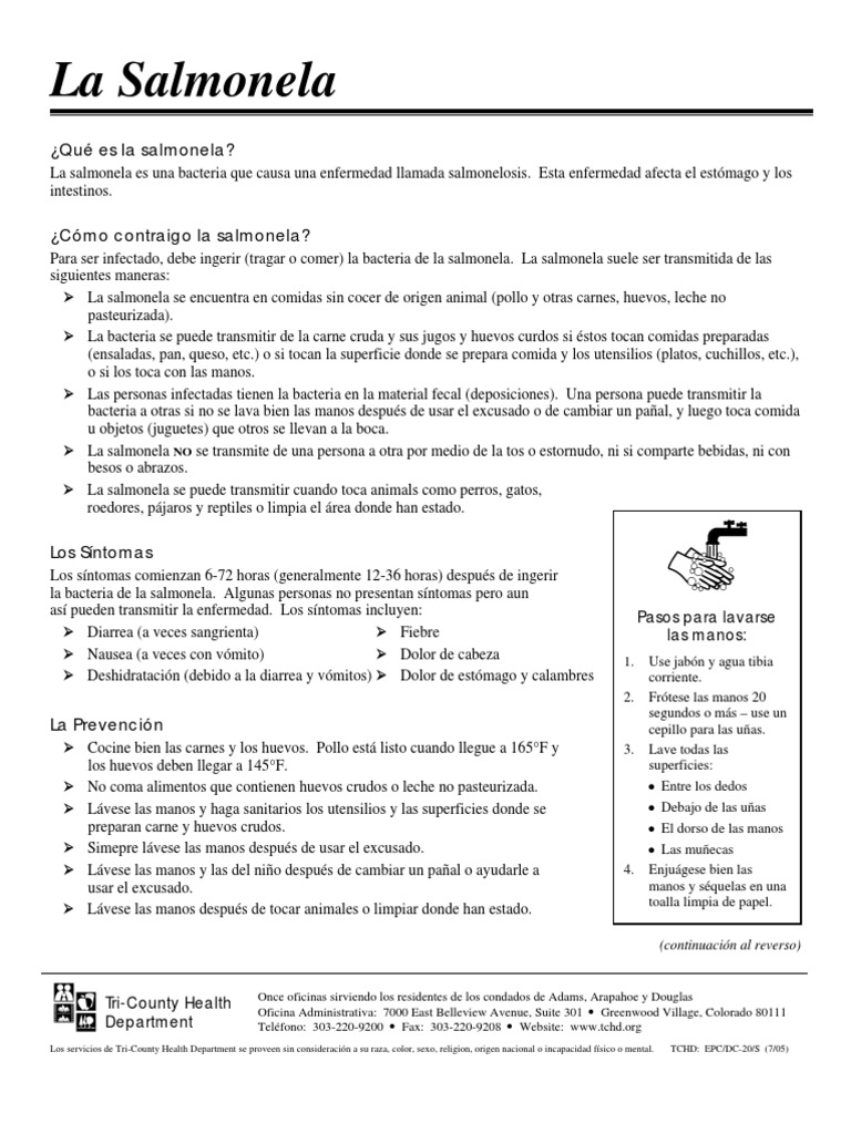 Salmonella Spanish Fact Sheet | PDF | Salmonela | Heces