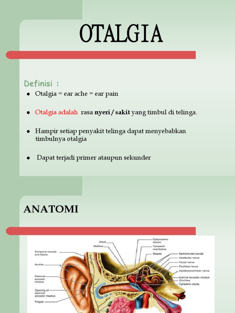 Otalgia | PDF | Sains & Matematika
