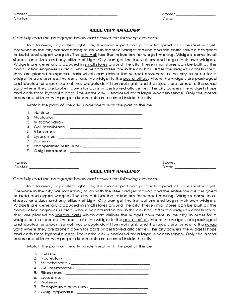Cell City Analogy | PDF | Endoplasmic Reticulum | Cell (Biology)