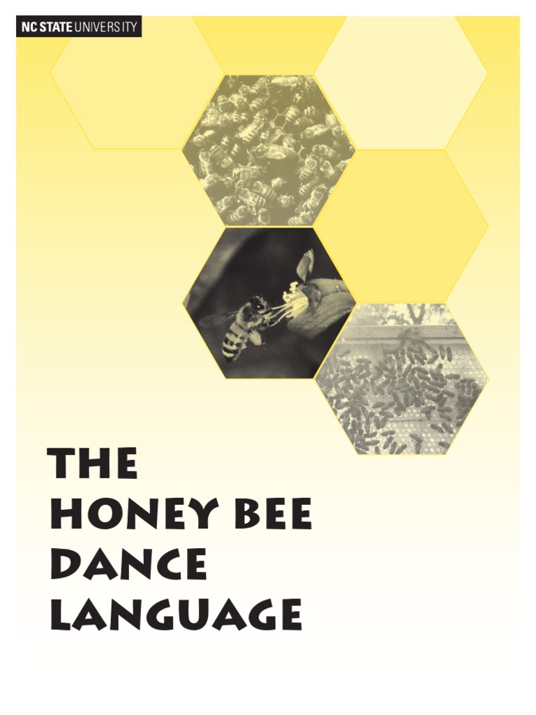 Honey Bee Dance Language Explained | PDF | Bees | Beekeeping