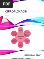 Format Review Obat Baru Civell MR 1000 MG | PDF