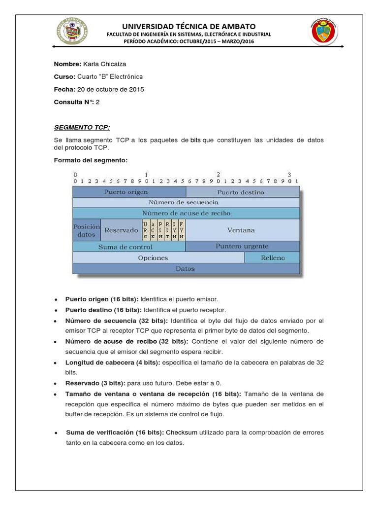 Datagrama y Segmentos | PDF | Protocolo de Control de Transmisión | Protocolos de red