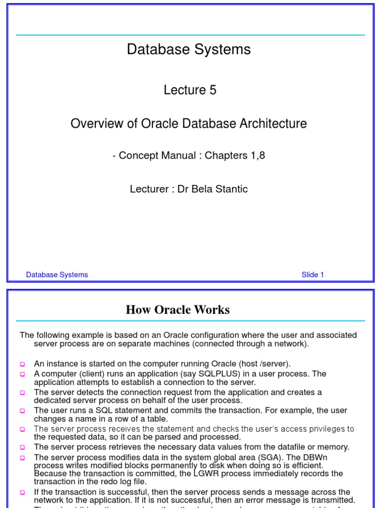 Database Systems: Overview of Oracle Database Architecture | PDF | Oracle Database | Pl/Sql