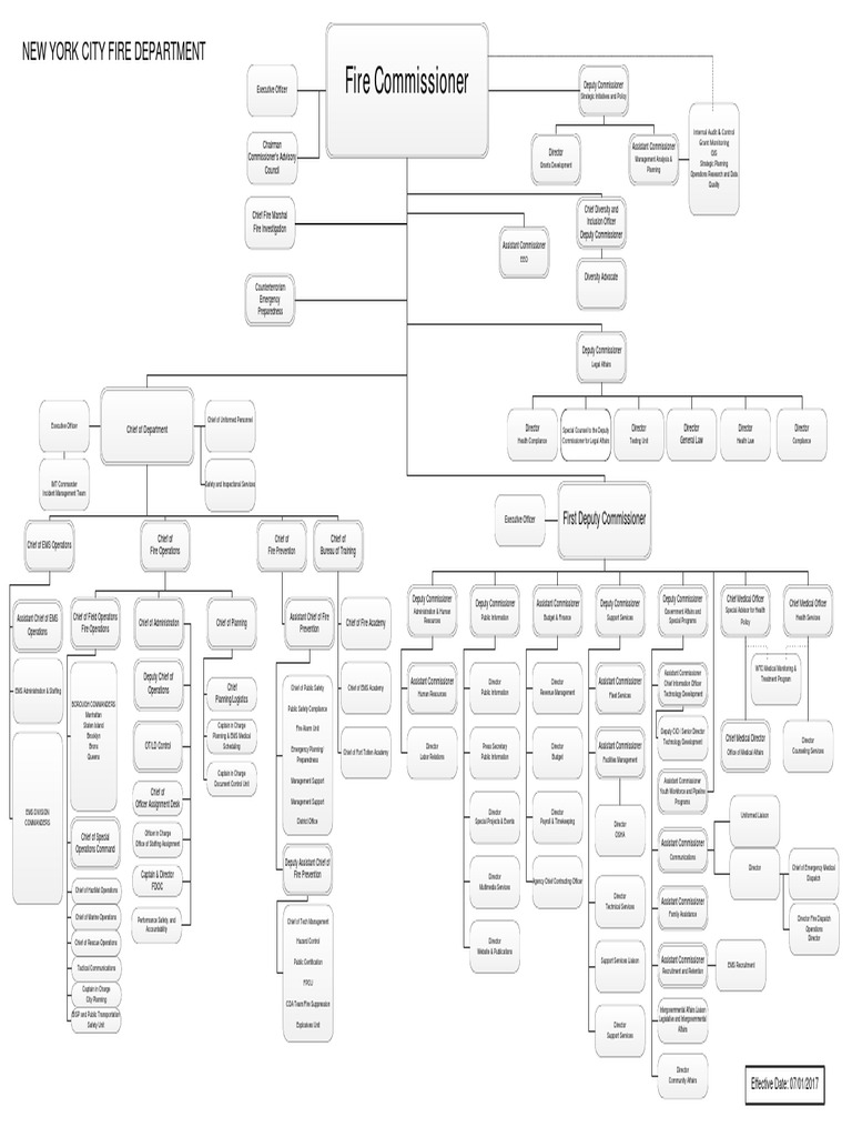 Org Chart | PDF | New York City Fire Department | Government