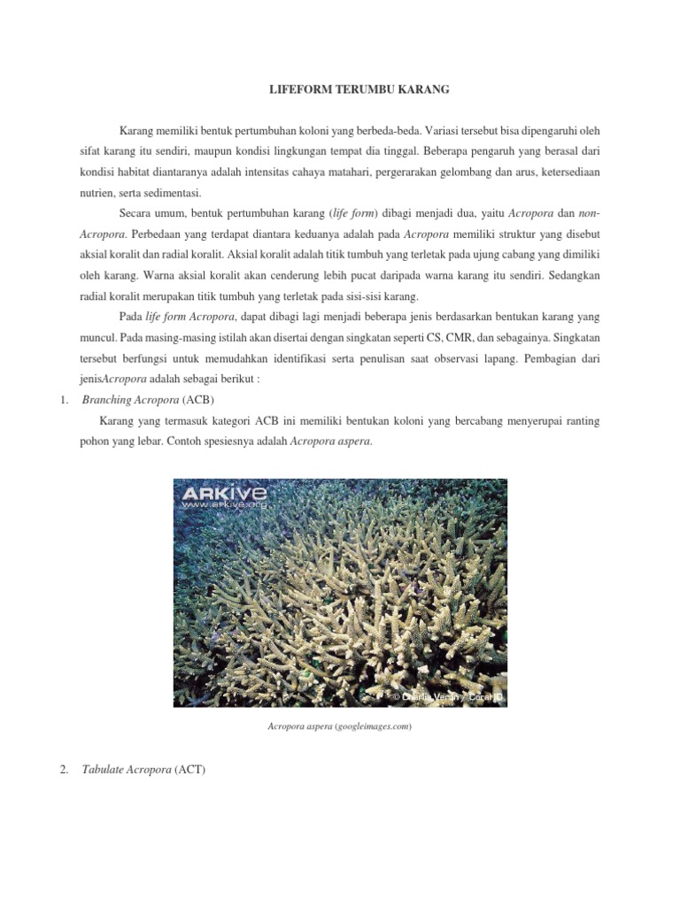 Lifeform Terumbu Karang Saeful Anwari 230210160060 | PDF