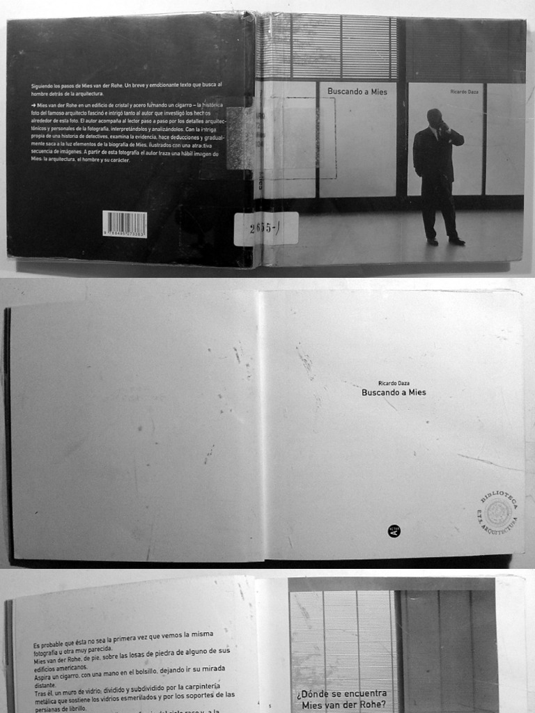 Buscando A Mies - Ricardo Daza | PDF