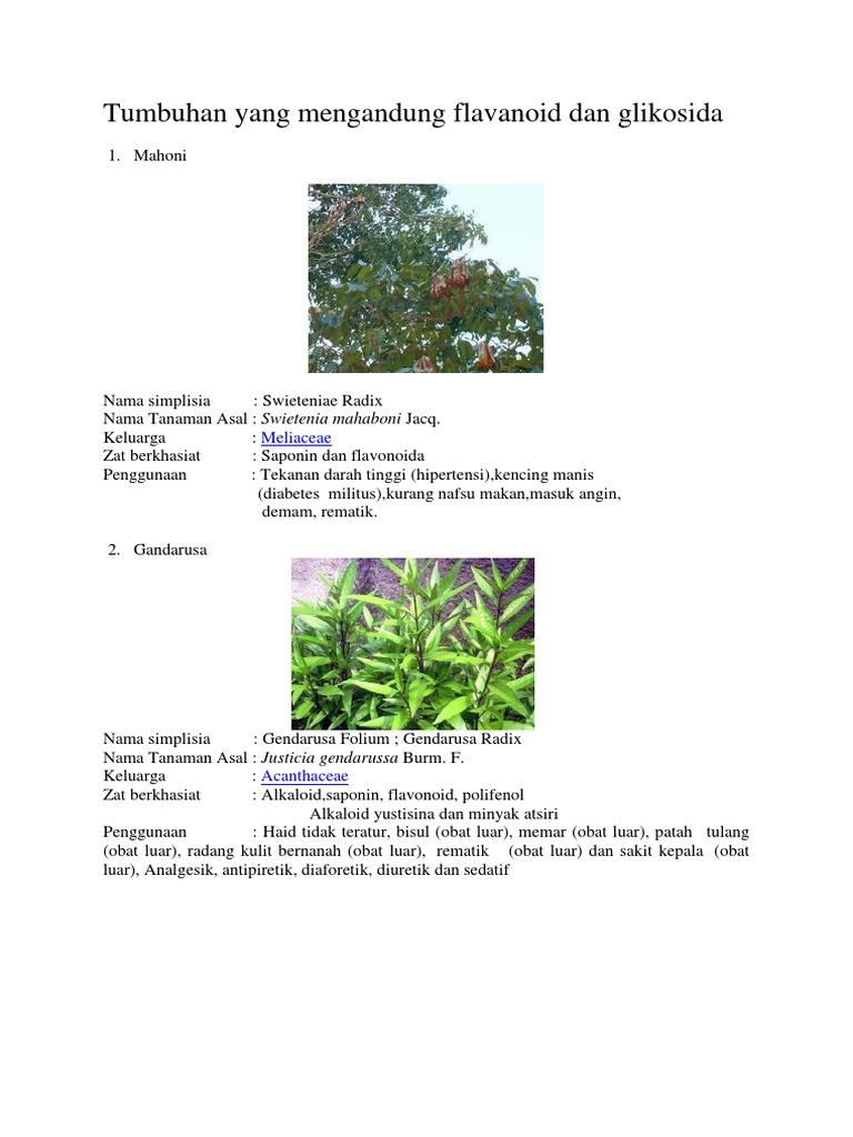 Mahoni dan Tanaman Obat Flavonoid | PDF | Kesehatan Holistik