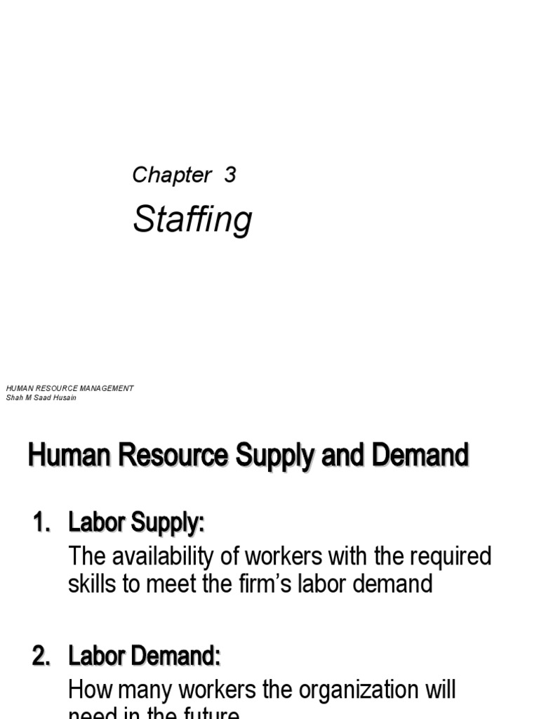 Staffing: Human Resource Management Shah M Saad Husain | PDF ...