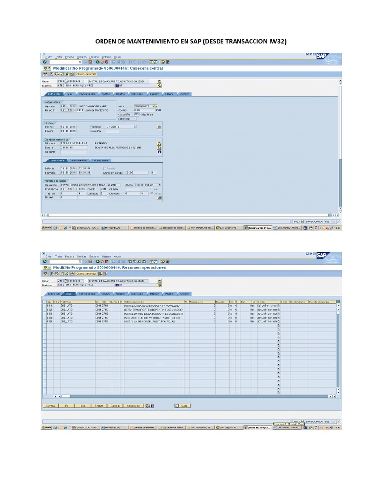 Orden De Mantenimiento En Sap Pdf