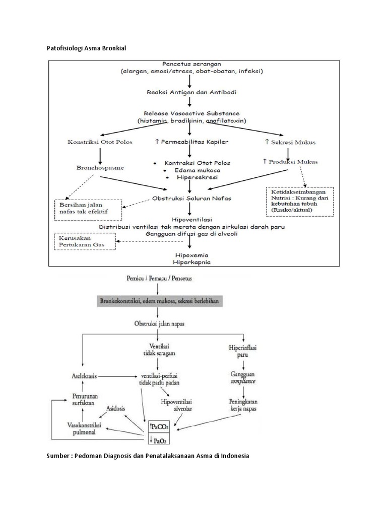 Patofisiologi Asma Bronkial | PDF