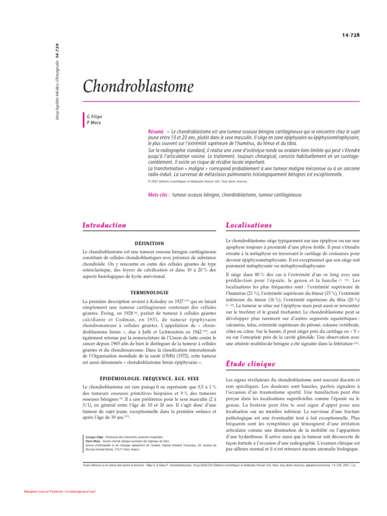 Chondroblastome | PDF | Cartilage | Os