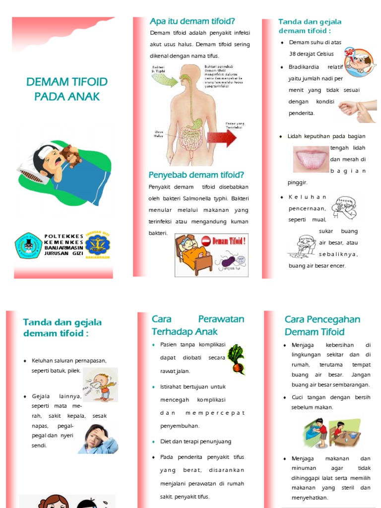 Leaflet Demam Tifoid2 | PDF
