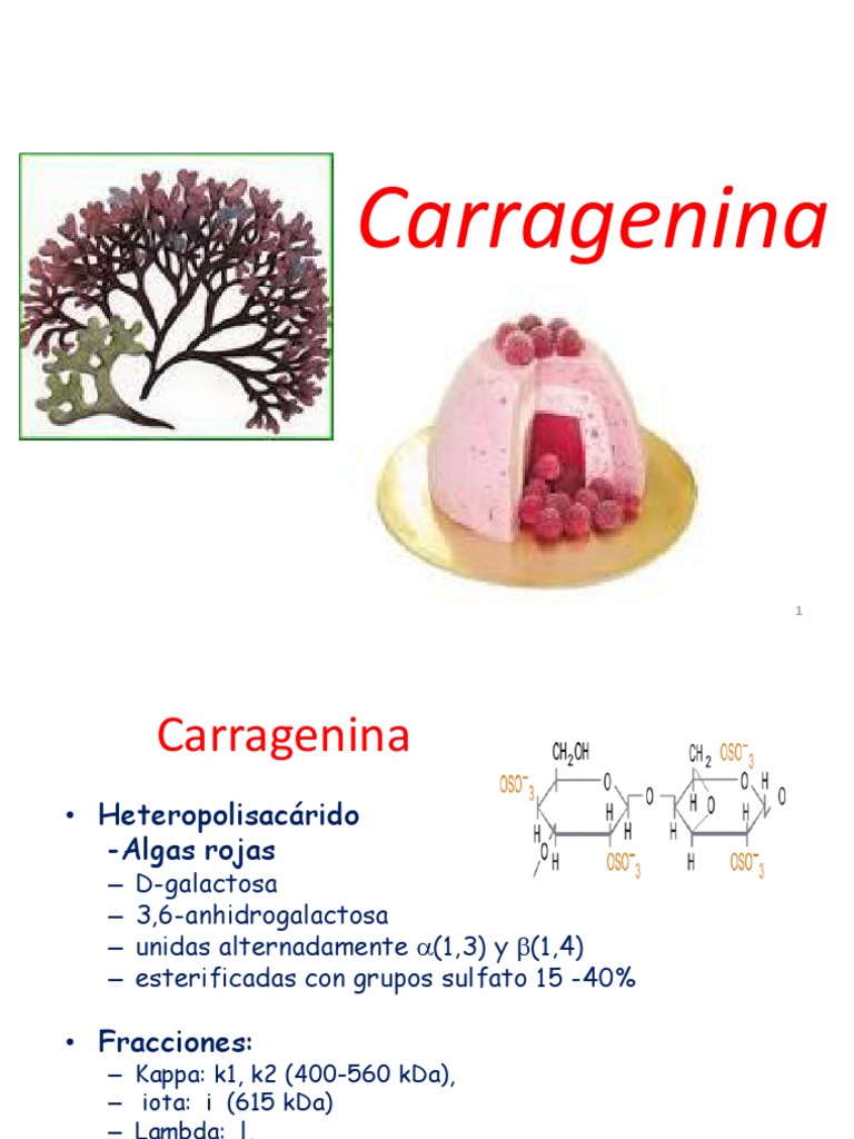Carragenina I | Solubilidad | Comida y bebida | Free 30-day Trial | Scribd