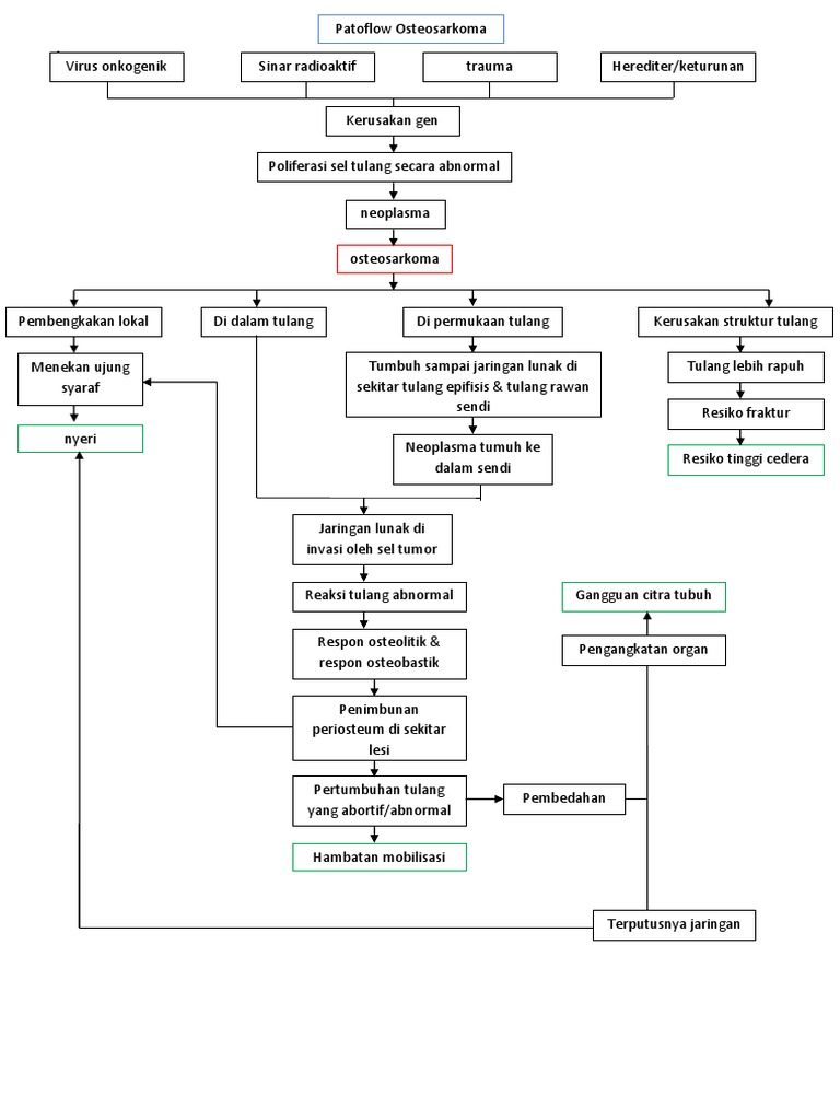 Woc Osteosarkoma | PDF