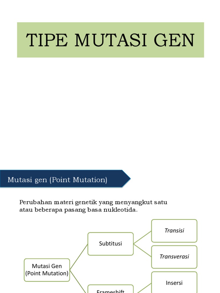 Tipe Mutasi Gen | PDF
