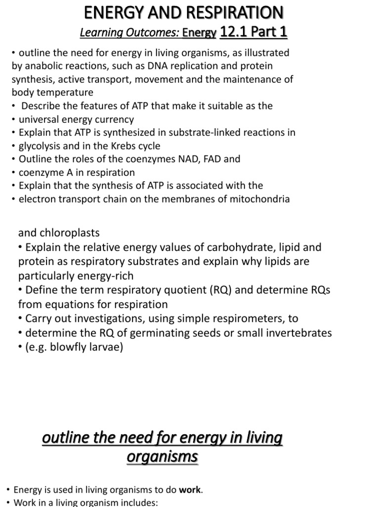 Energy and Respiration Part 1 | PDF | Adenosine Triphosphate | Cellular ...