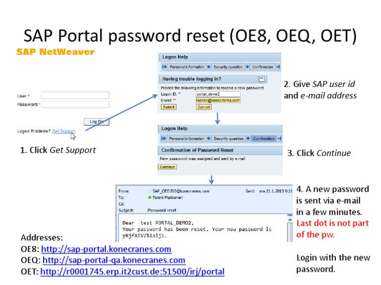 SAP Portal Password Reset (3)
