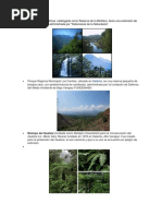 Instrumentos Musicales Xinca: Historia y Cultura | PDF | Instrumentos ...
