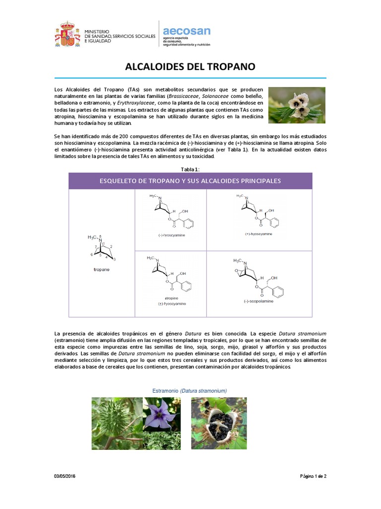 Alcaloides_tropano | Alcaloide | Alimentos