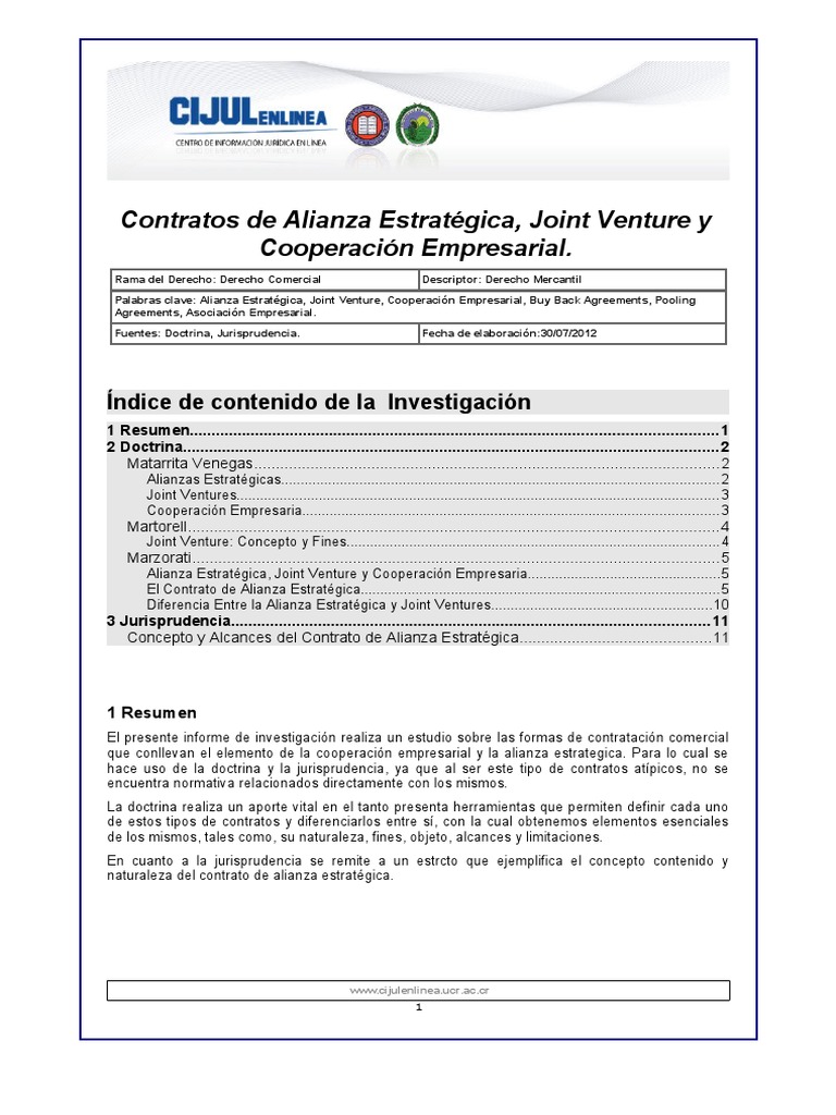 Alianza Estrategica, Joint Venture y Cooperacion Empresarial | PDF ...