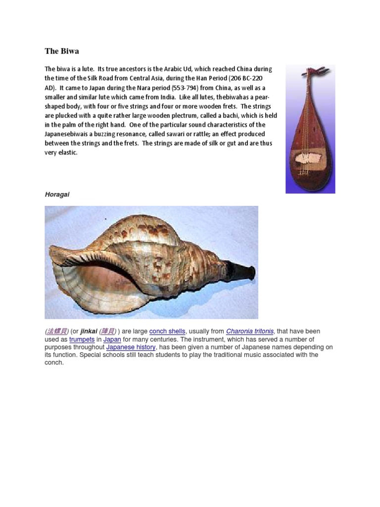The Biwa | PDF | Musical Instruments | Music Technology