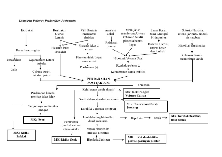 Pathway Penanganan Perdarahan Postpartum | PDF