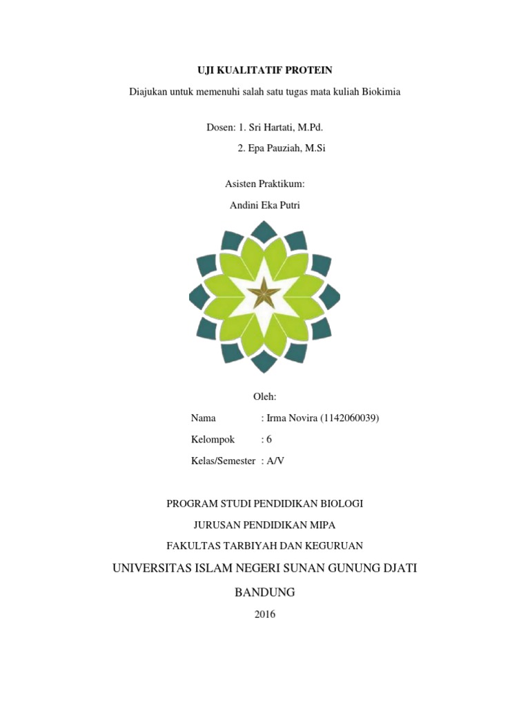 Biokim Laprak Uji Kualitatif Protein - Irmanov | PDF