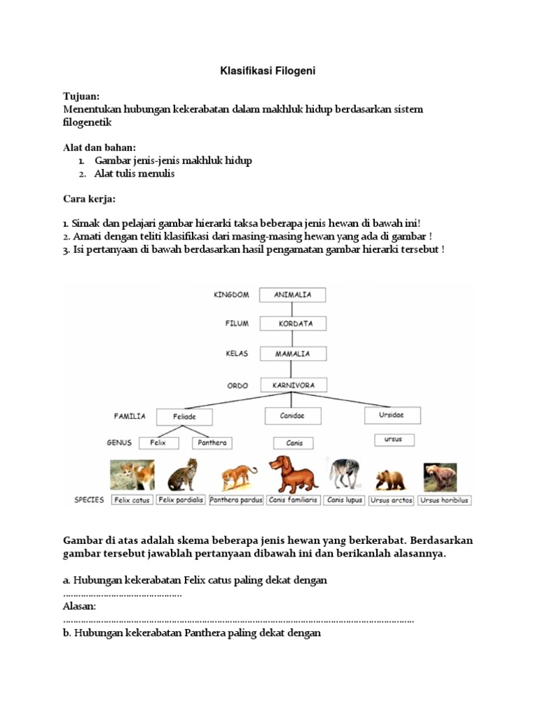 LKPD Klasifikasi Filogeni | PDF