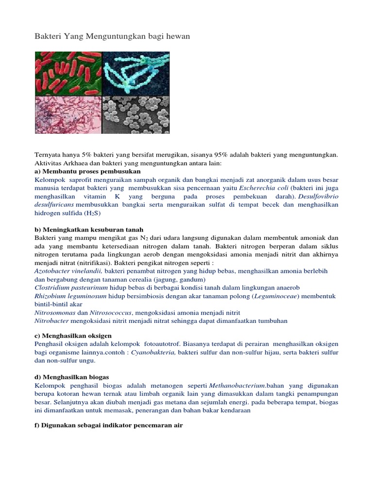 Bakteri Yang Menguntungkan Bagi Hewan | PDF | Sains & Matematika